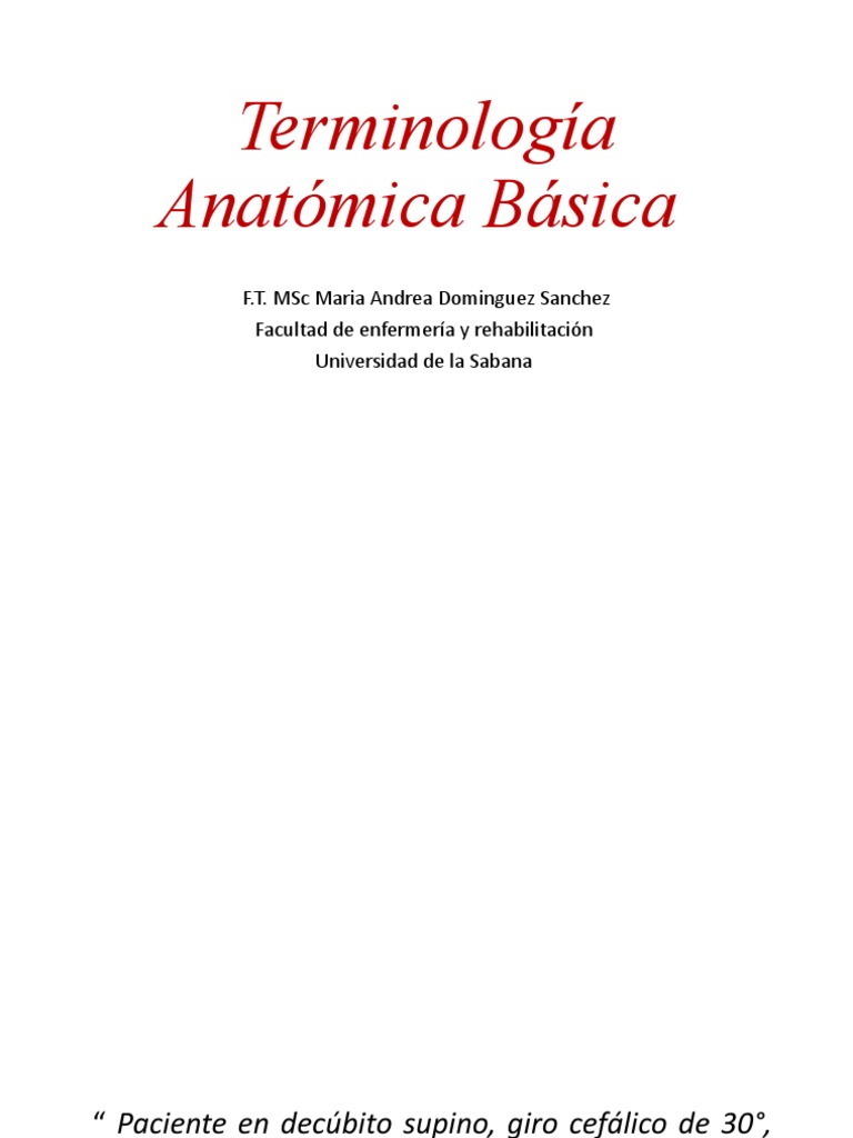 Terminología Anatómica Básica | PDF | Términos anatómicos de ubicación ...