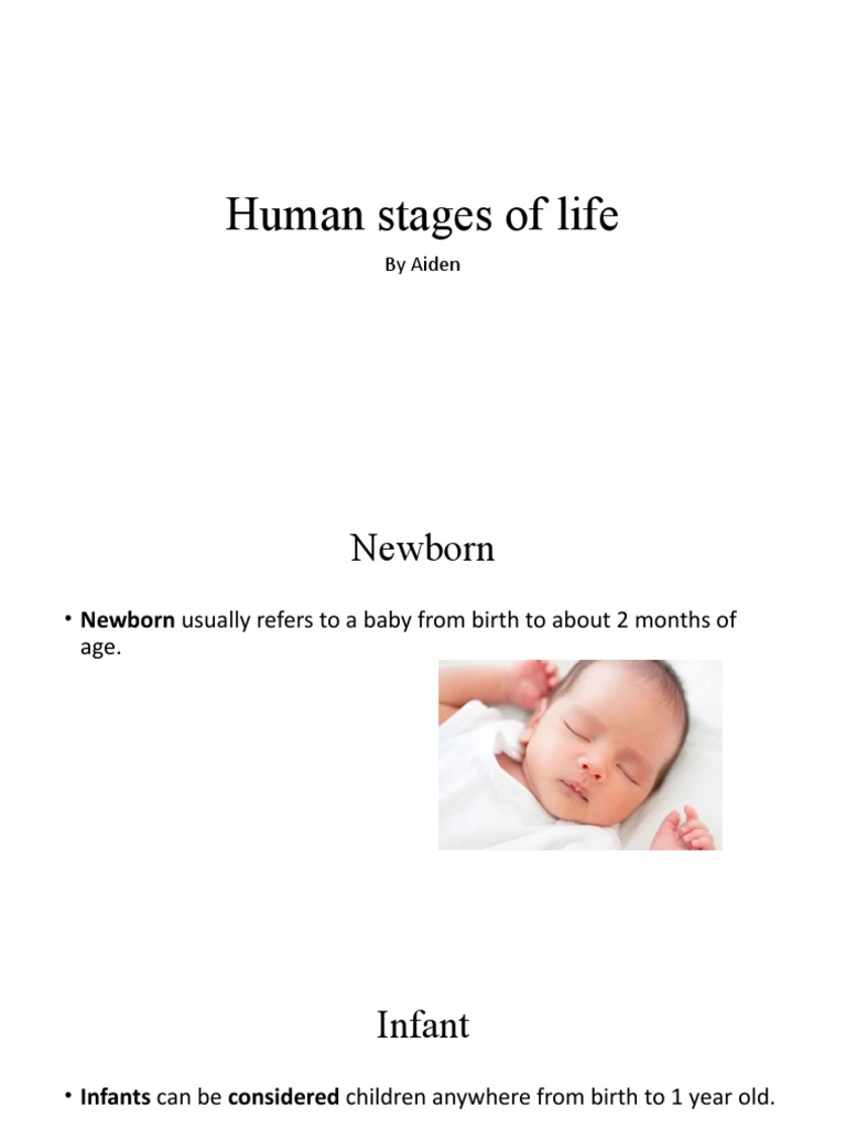 Human Stages of Life | PDF | Self-Improvement | Wellness