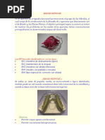 Simoes Network | PDF | Ciencia y matemática