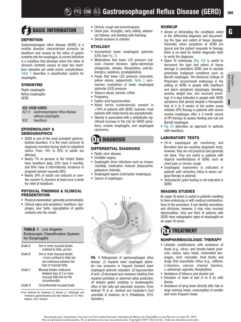 Gastroesophageal Reflux Disease (GERD) : Basic Information | PDF ...
