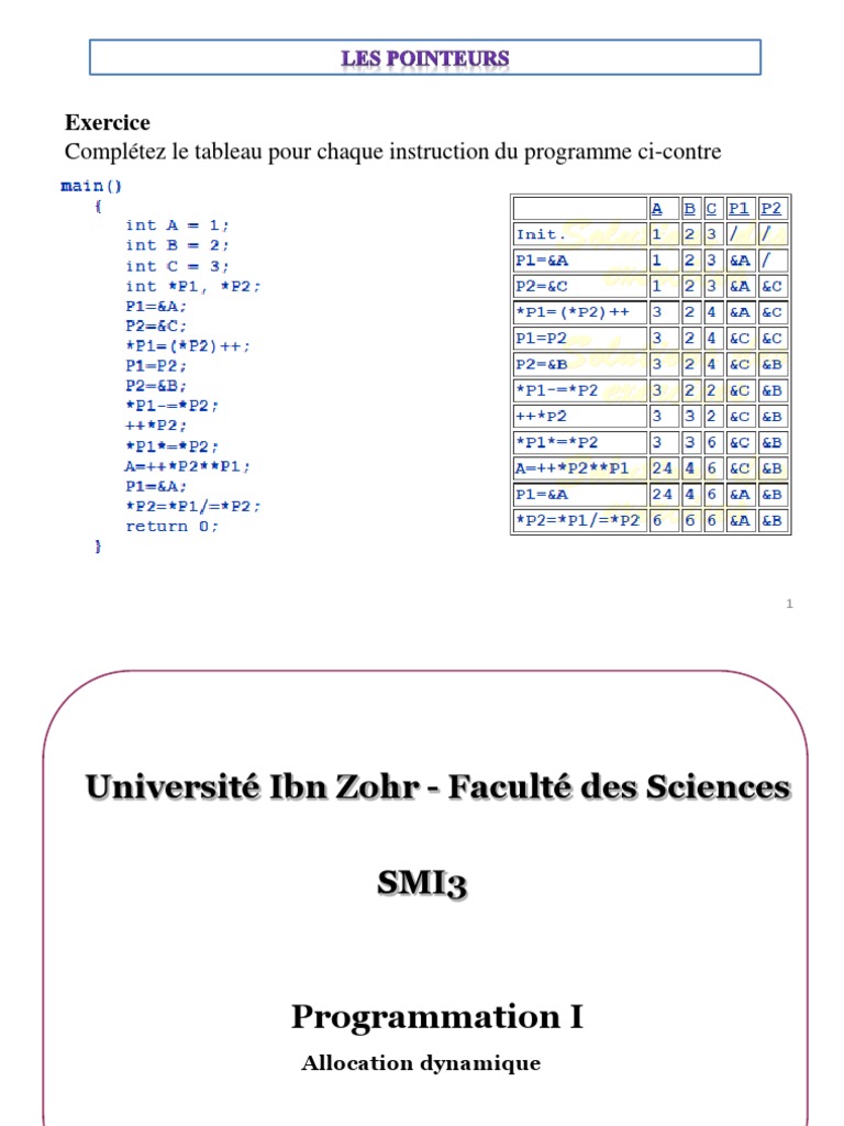 Chap 4-Allocation Dynamique PDF | PDF | Pointeur (programmation) | Logiciel