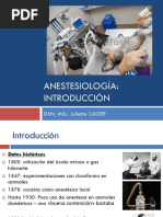 Asa Protocolo | PDF | Anestesia | Cirugía