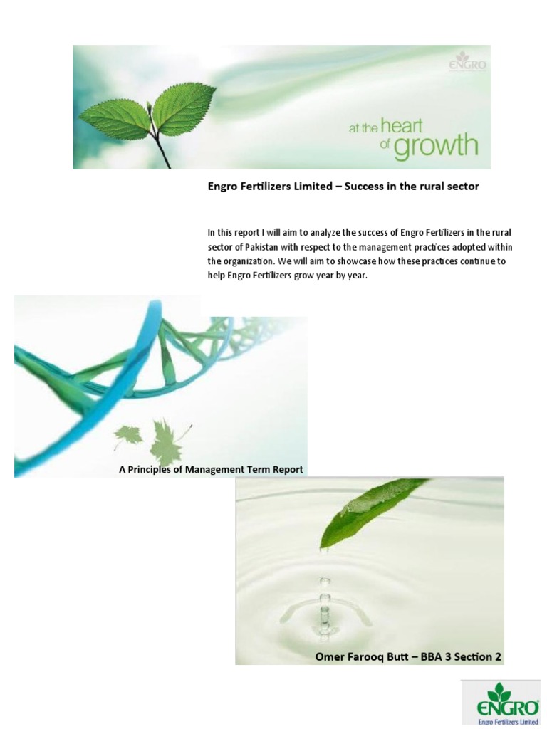 POM Term Report | PDF | Fertilizer | Goal