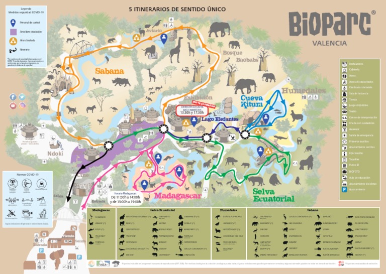 Web Mapa BIOPARC Valencia Julio 2020 | PDF | Mamíferos de áfrica | Naturaleza