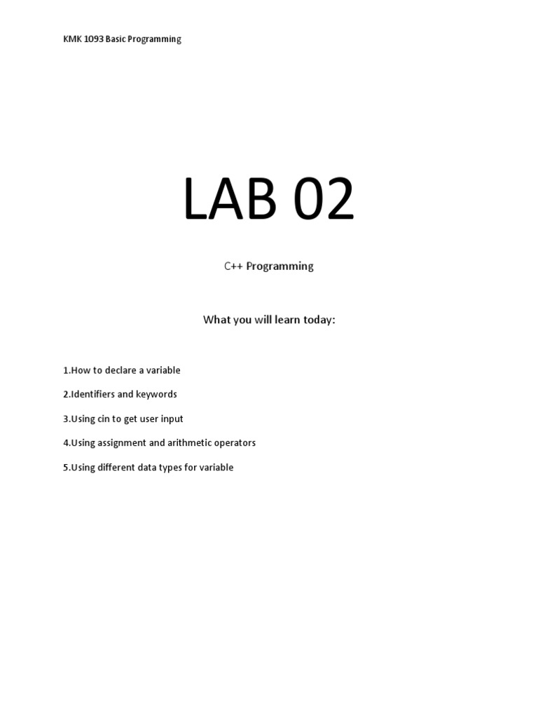 Basic Programming Lab 2 | PDF | Integer (Computer Science) | Subroutine