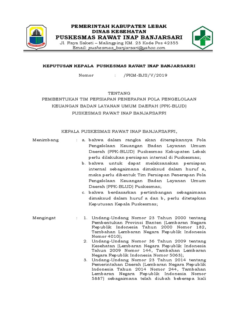 SK Tim Persiapan BLUD | PDF