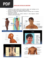 Basic Anatomy and Physiology | PDF