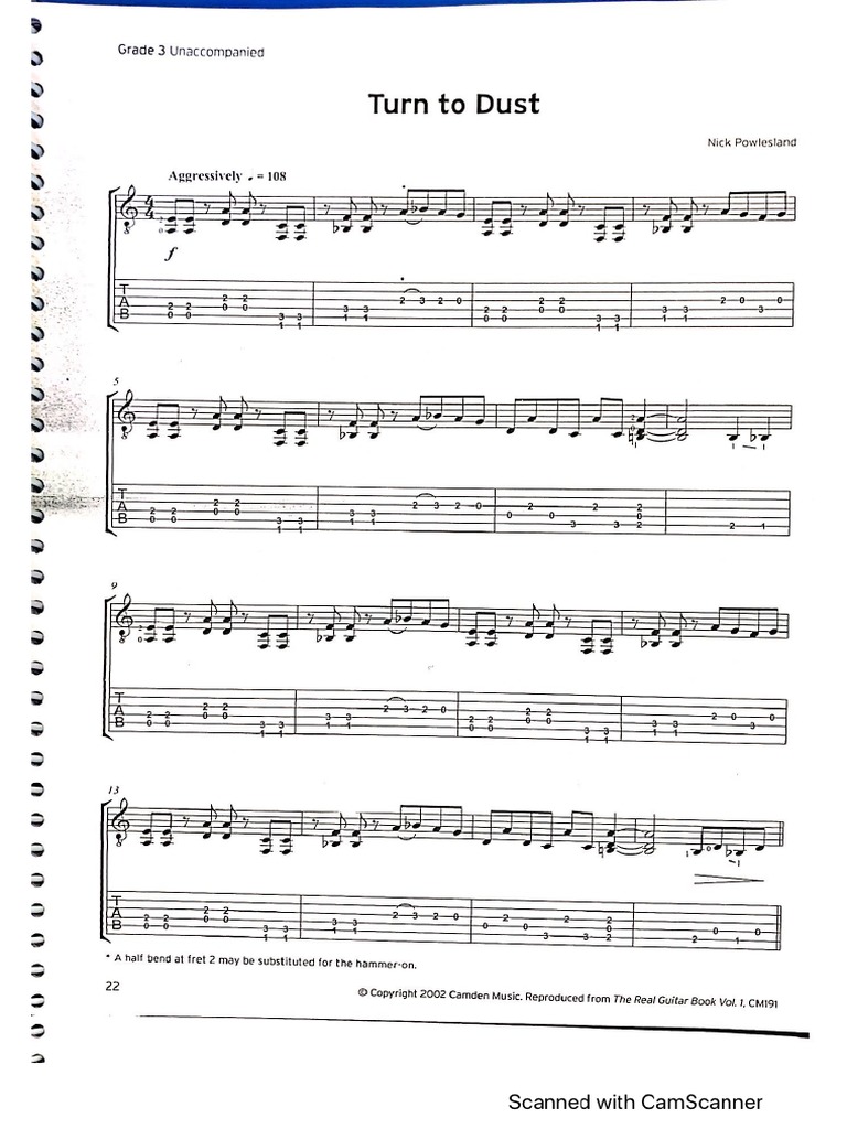 Grade 3 Turn To Dust | PDF