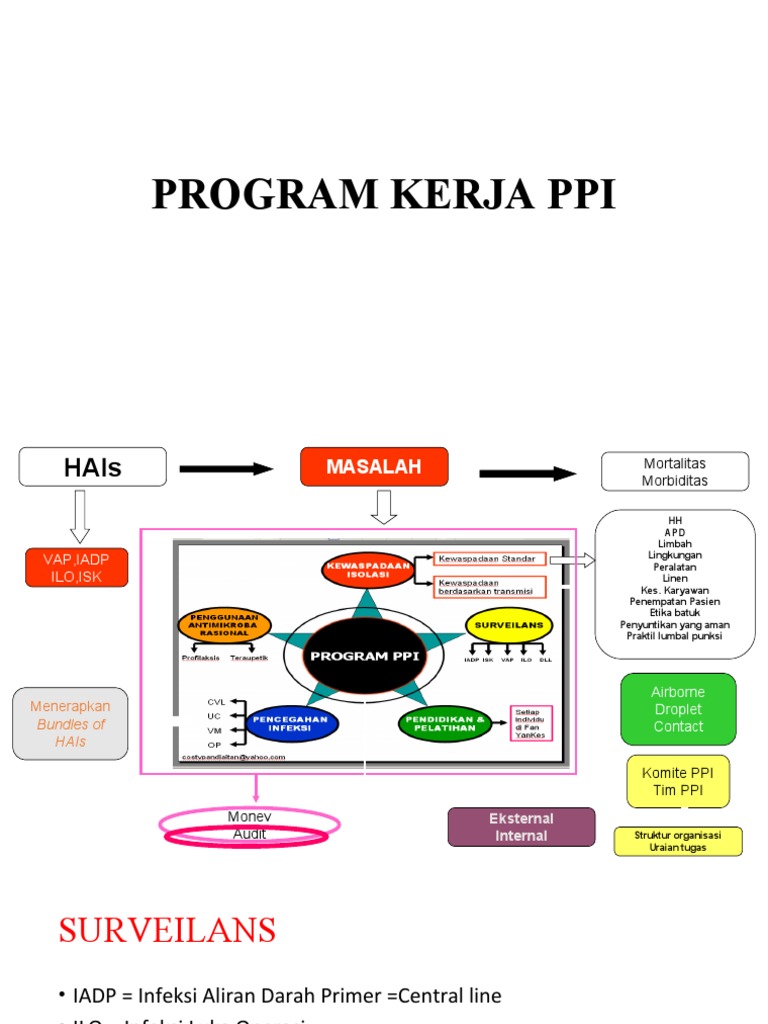Persentase Program Kerja Ppi | PDF