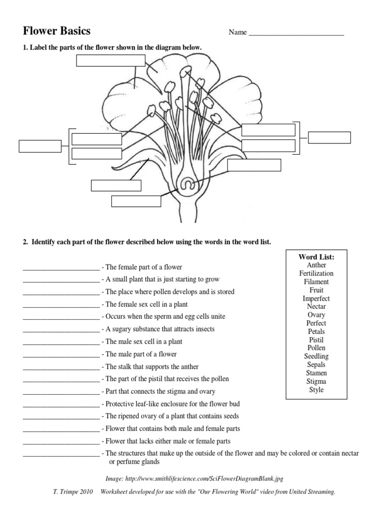 Flower Basics: 1. Label The Parts of The Flower Shown in The Diagram ...