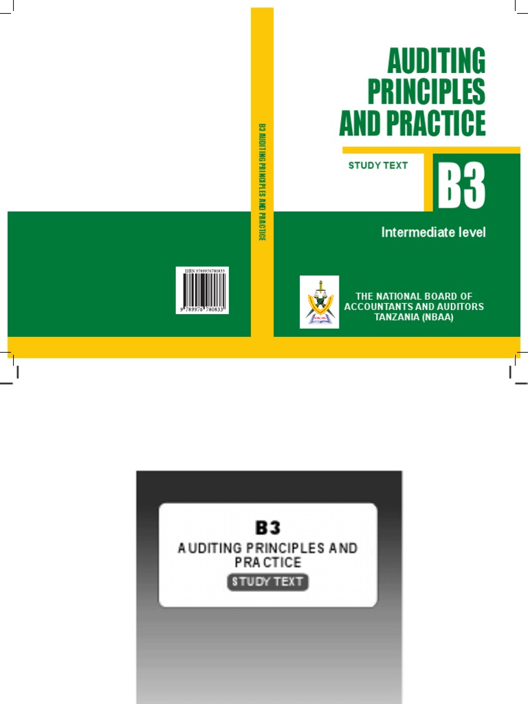 B3 PDF | PDF | Financial Audit | Audit