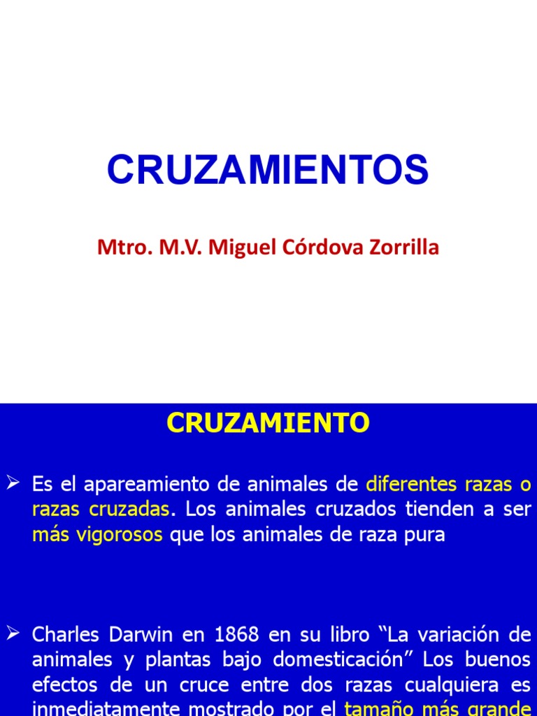 Cruzamientos Genéticos en Animales | PDF | Burro | Oveja