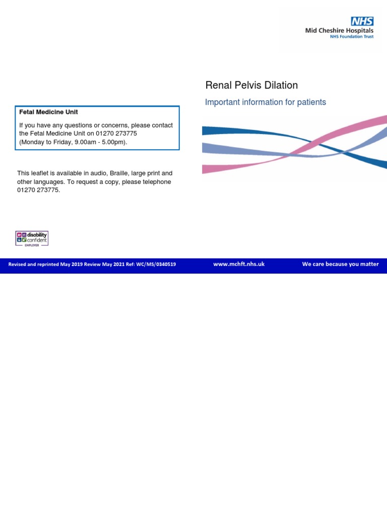 Renal Pelvis Dilation Revised and Reprinted May 2019 | PDF | Kidney ...