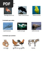 Animales Con Escamas, Plumas y Pelos | PDF