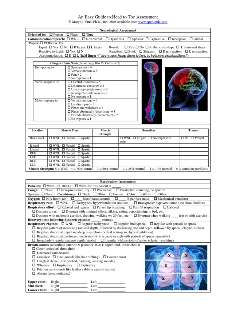 Head To Toe Assessment Guide PDF | PDF | Electrocardiography | Cardiac ...