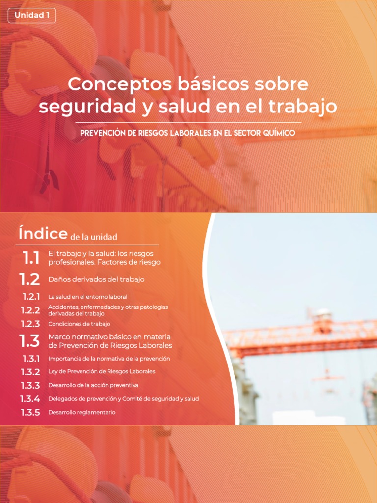 Conceptos Basicos de Seguridad y Salud en El Trabajo | PDF | Seguridad y salud ocupacional ...