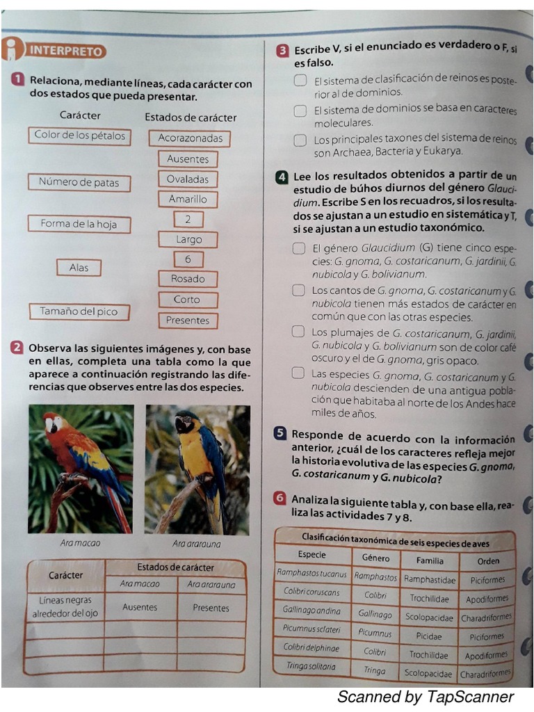 Taller de Taxonomia | PDF
