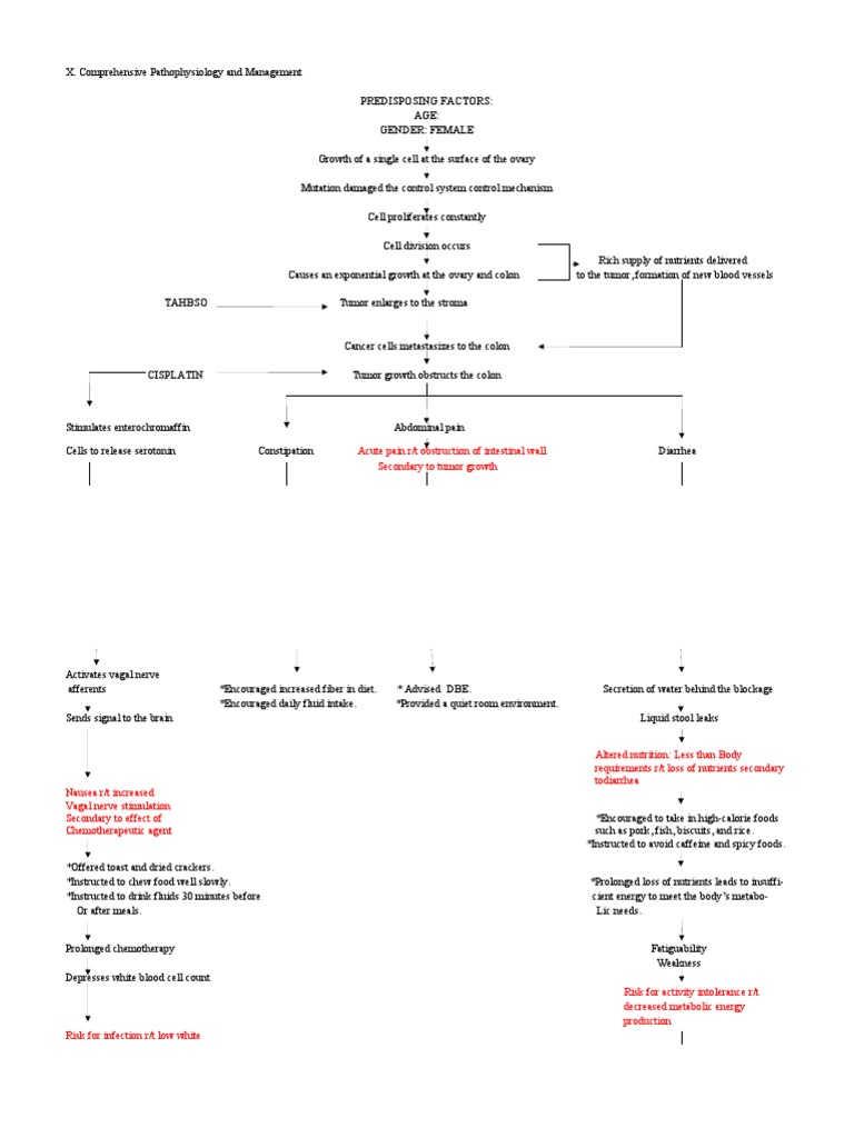 Ovarian Cancer Pathophysiology Overview | PDF | Ovarian Cancer ...