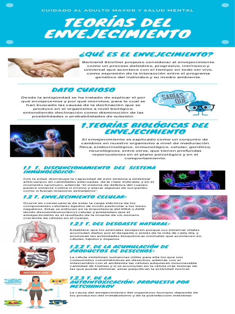 Teorias Del Envejecimiento PDF | PDF | Envejecimiento | Vejez