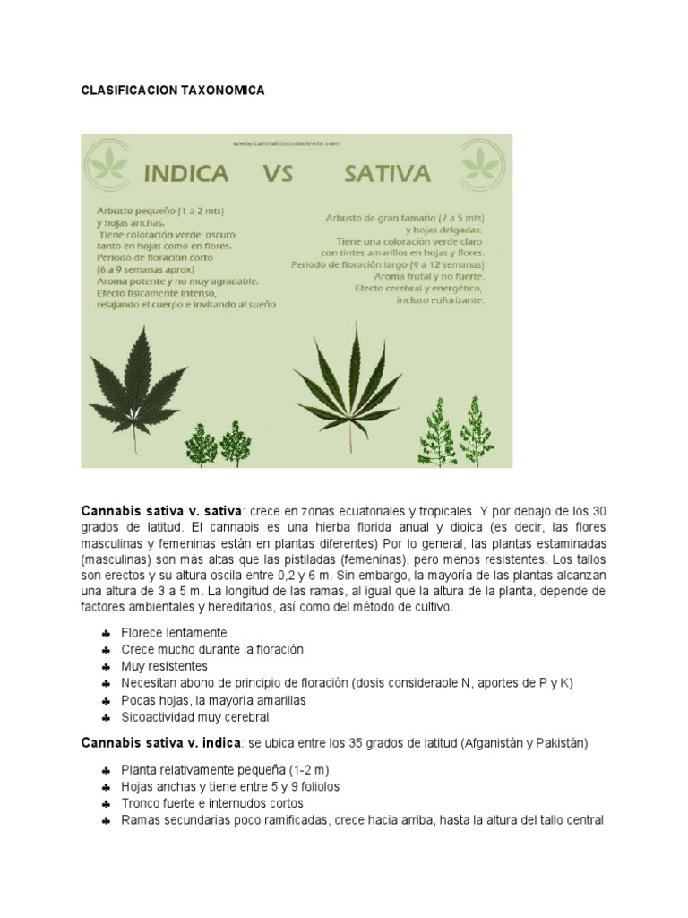 Cannabis Sativa | PDF | Fertilizante | Enzima