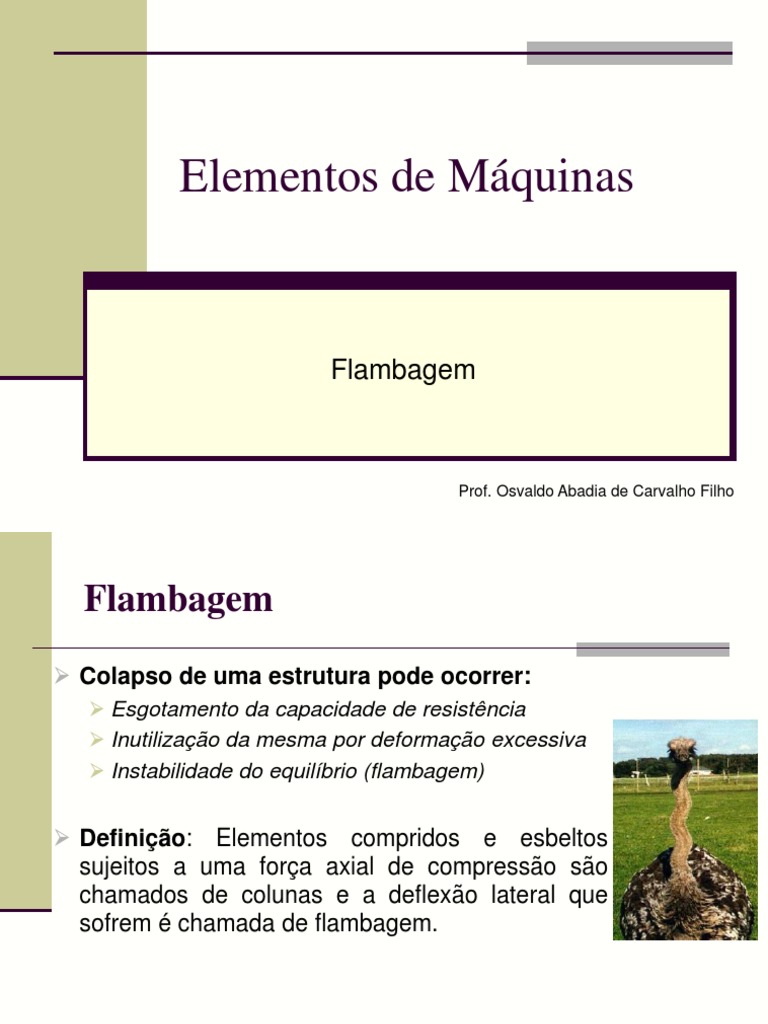 Aula 5 Flambagem PDF | PDF | Flambagem | Deformação (Mecânica)