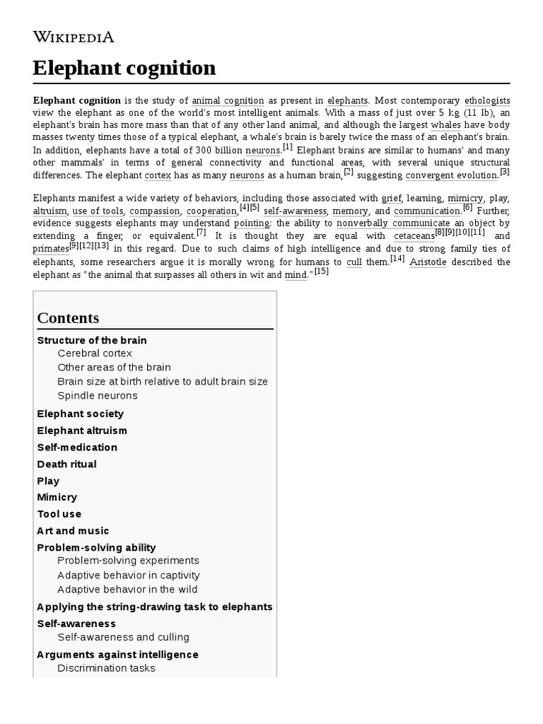 Elephant Cognition | PDF | Elephant | Nature