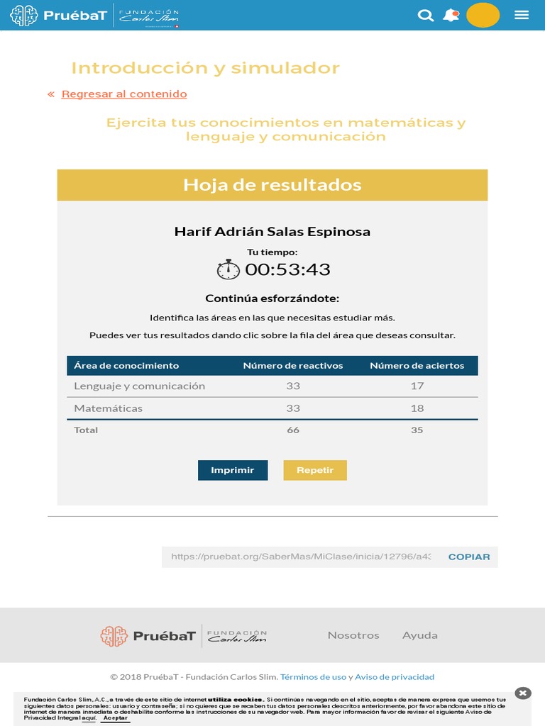PruébaT PDF | PDF | Ciencias de la Información | Tecnología digital