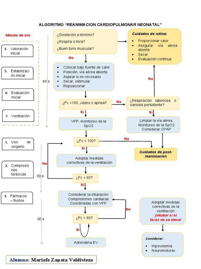 ALGORITMO | PDF | Reanimación cardiopulmonar | Procedimientos médicos
