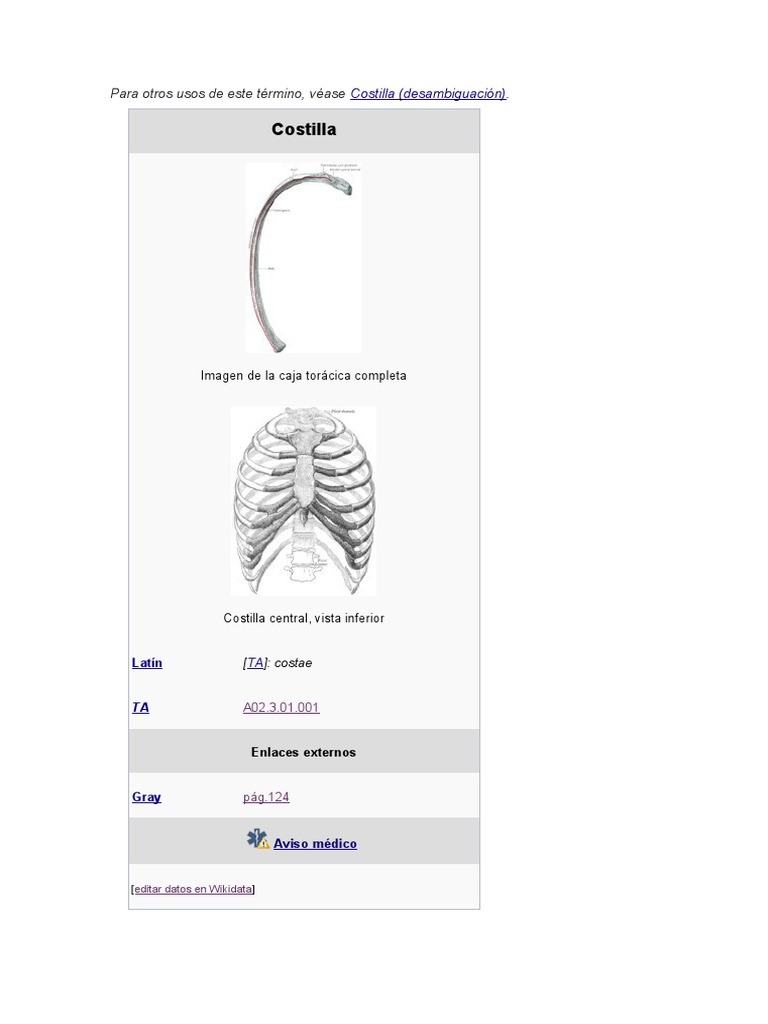 Anatomía y Clasificación de las Costillas | PDF | Tórax | Anatomia animal