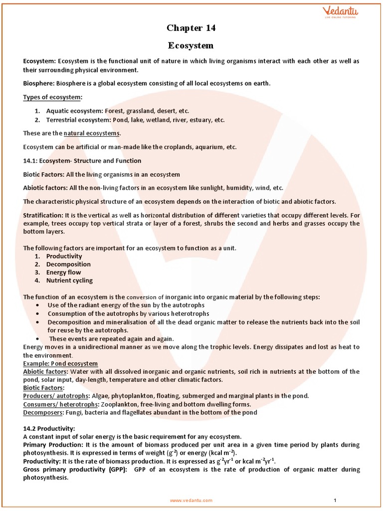 Ecosystem: Conversion of | PDF | Primary Production | Food Web