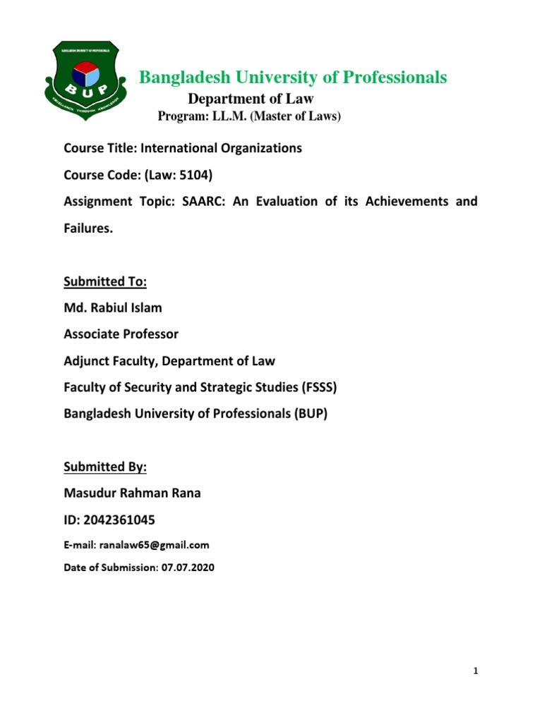 SAARC Assignment | PDF | South Asia | Policy