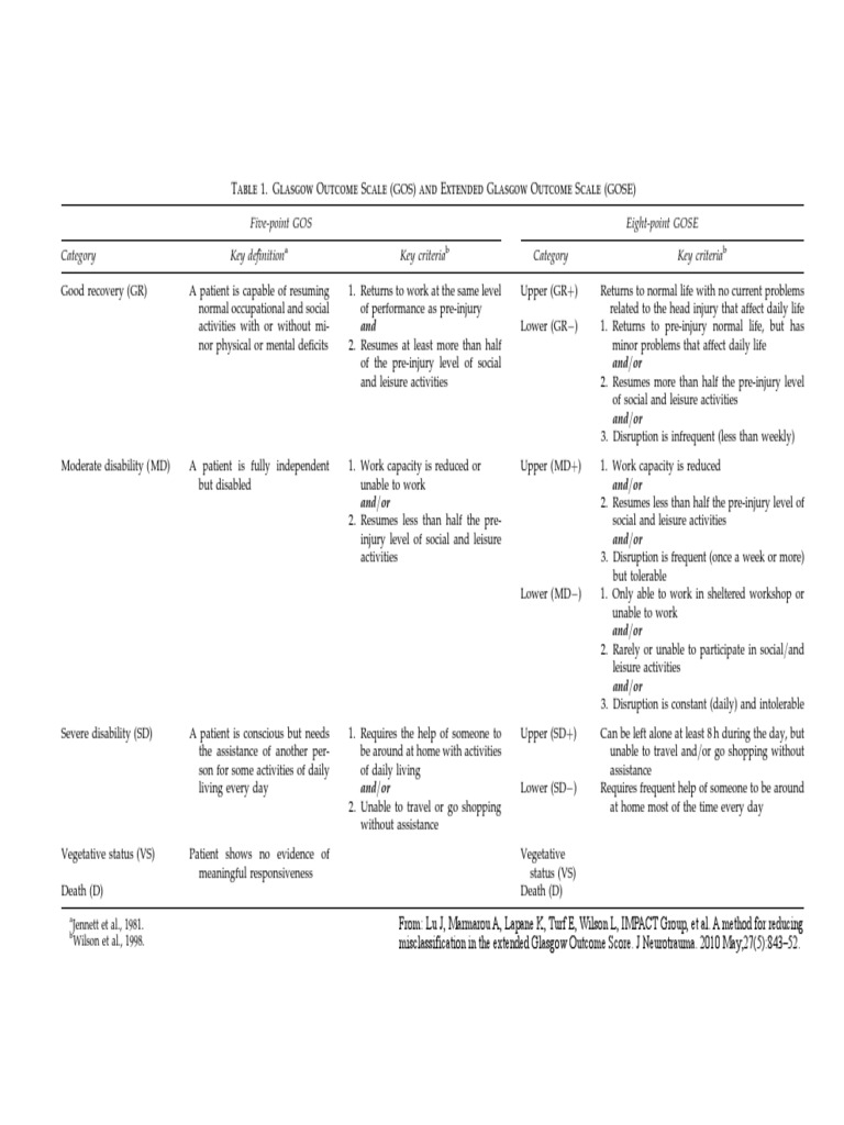 Gos e | PDF | Disability | Medicine