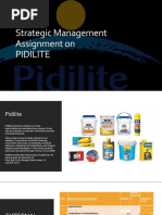 Pidilite Case Study | PDF | Adhesive | Brand