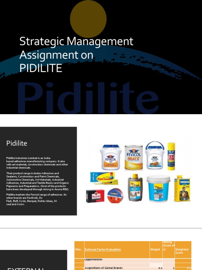 Strategic Management Assignment On Pidilite | PDF | Adhesive | Brand
