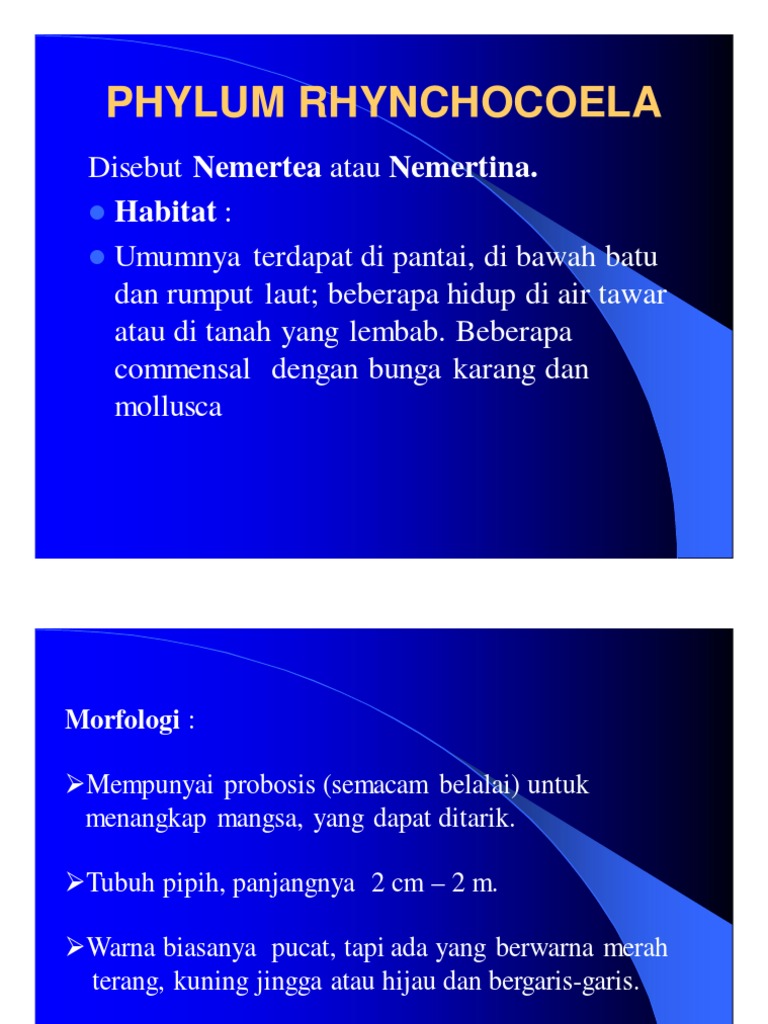 Philum Rhynchocoela | PDF