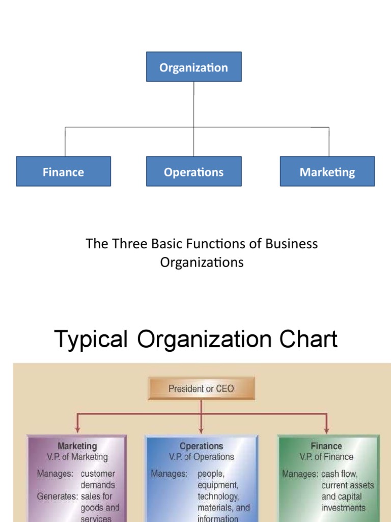 Organization: The Three Basic Functions of Business Organizations | PDF