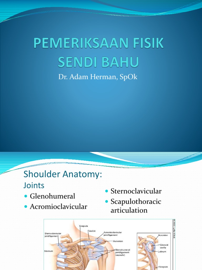 Pemeriksaan Fisik Bahu | PDF | Anatomical Terms Of Motion | Shoulder