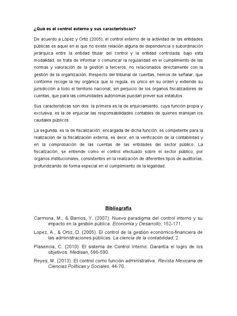 Qué Es El Control Externo y Sus Características | PDF