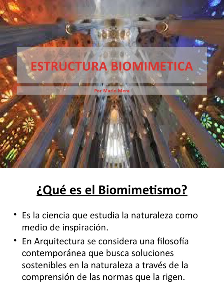 Biomimetismo en la arquitectura: aprendiendo de la naturaleza para ...