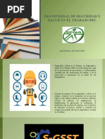 Formato de Evaluacion Del Programa de SST | PDF | Seguridad y salud ocupacional | Derecho laboral