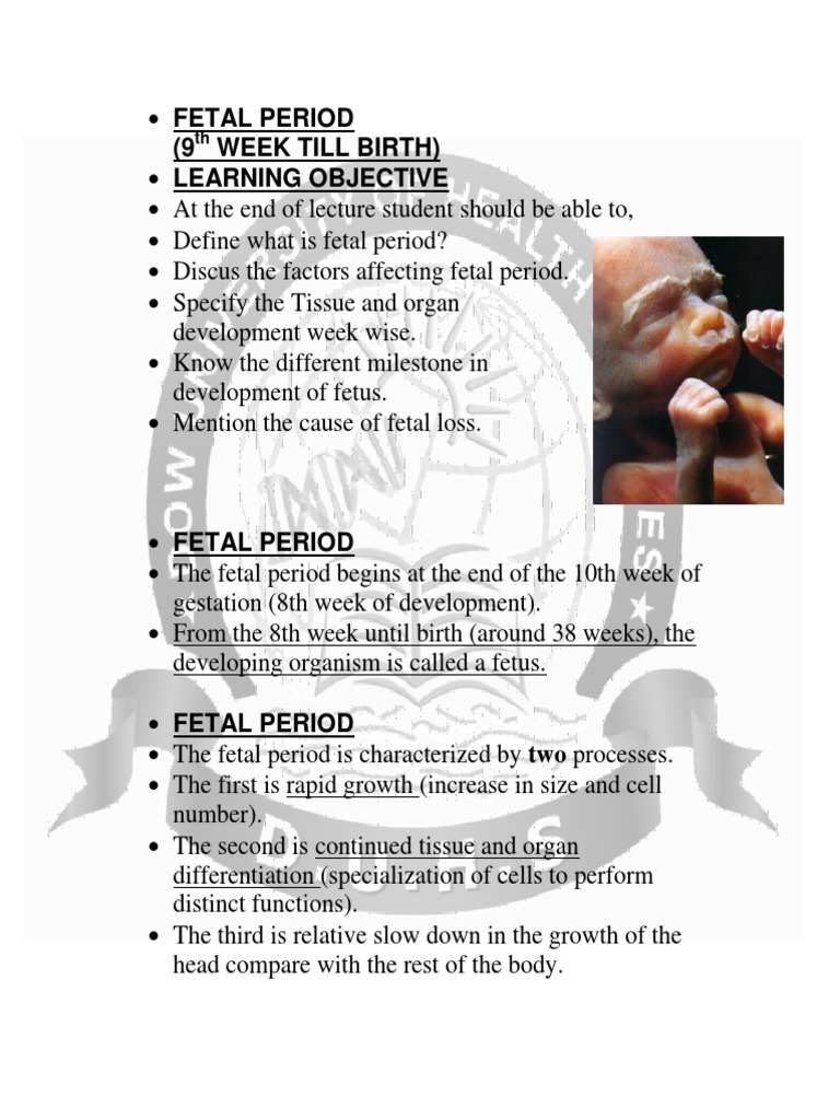 Fetal Development Milestones: Weeks 9-12 | PDF | Fetus | Prenatal ...