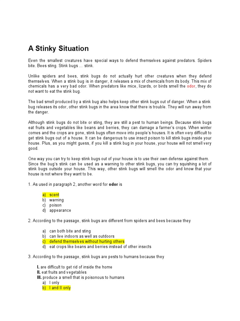 A Stinky Situation | PDF | Insects | Odor