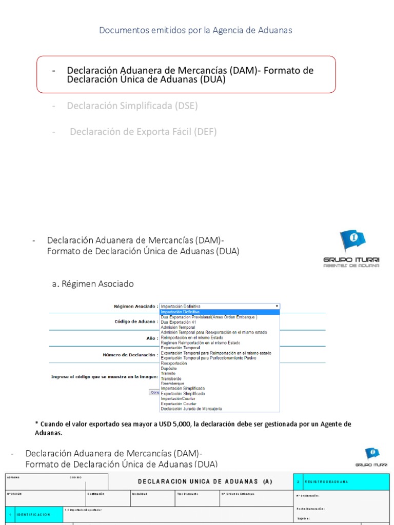 Documentos Emitidos Por La Agencia de Aduanas PDF | PDF | aduana | Economias