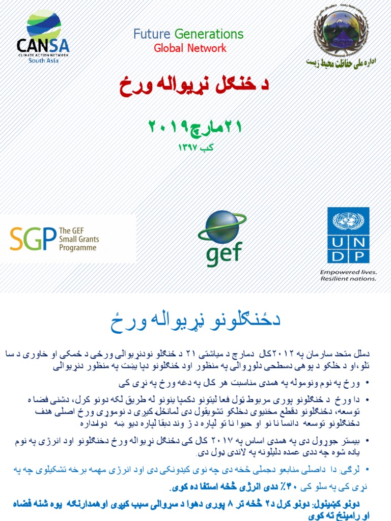 Pashto Forest Presentation1 | PDF