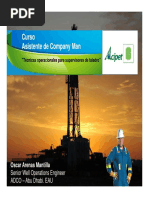 Open Wells | PDF | Programa de computadora | Programación