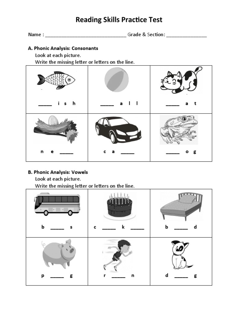 Reading Skills Practice Test | PDF
