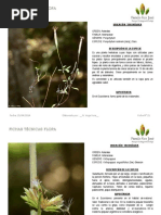 Semana 26 - CONOCEMOS LA ESTRUCTURA DEL DIPTICO | PDF | Arte