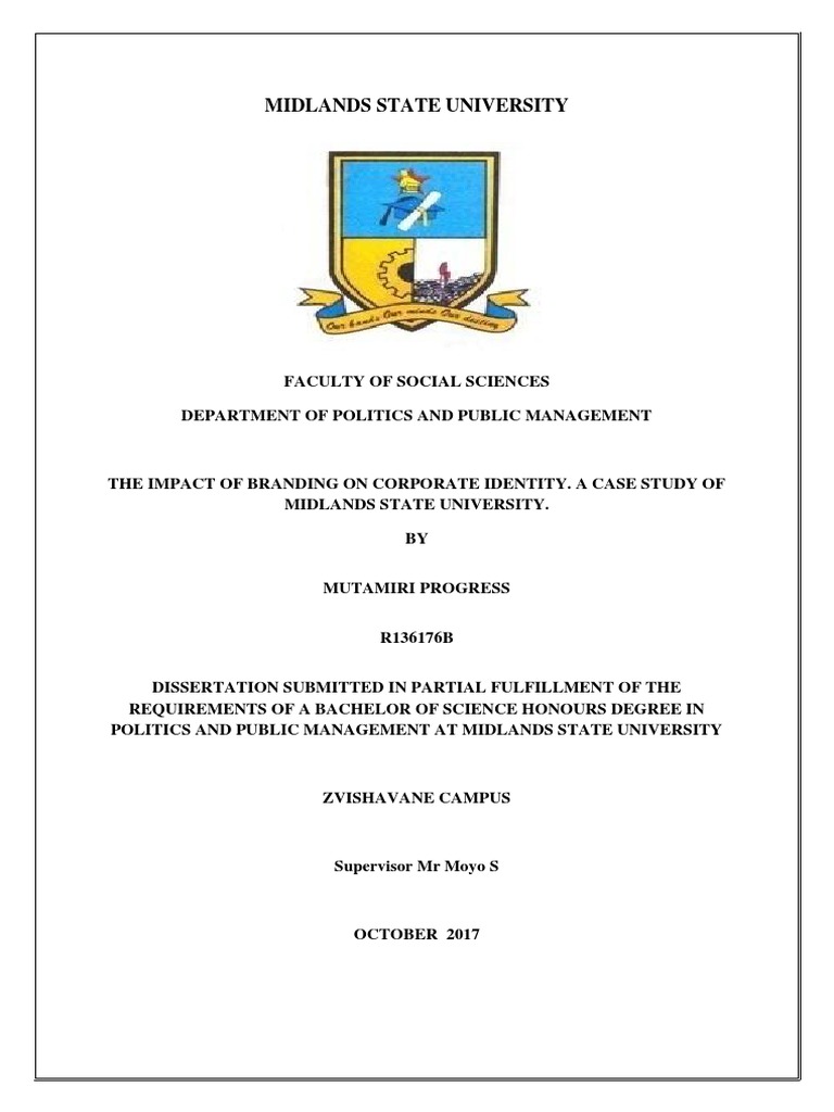 Branding MSU | Download Free PDF | Reputation | Brand