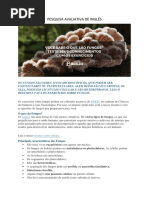 Cruzadinha Sobre Os Fungos PDF | PDF