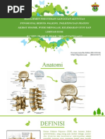 LP Tetraparese | PDF